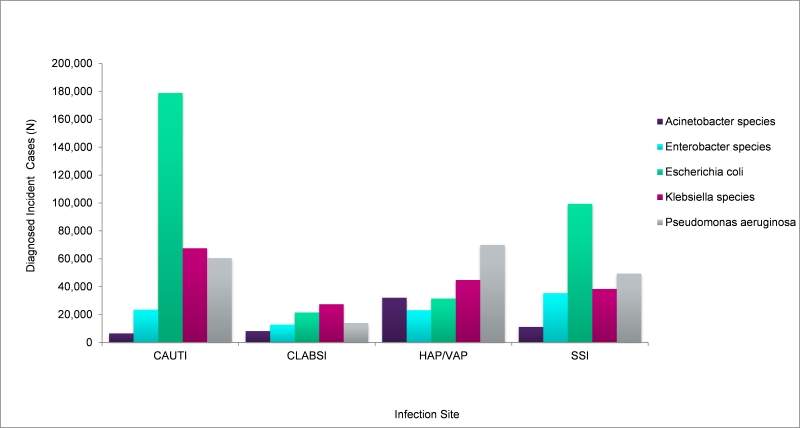 A closer look into the microbiology of healthcare-associated Gram ...