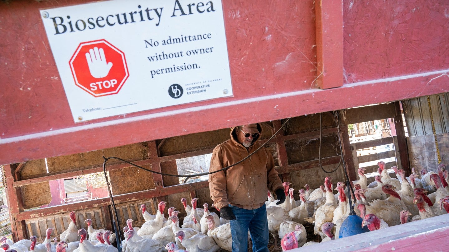Does H5N1 avian influenza have pandemic potential? - Hospital Management